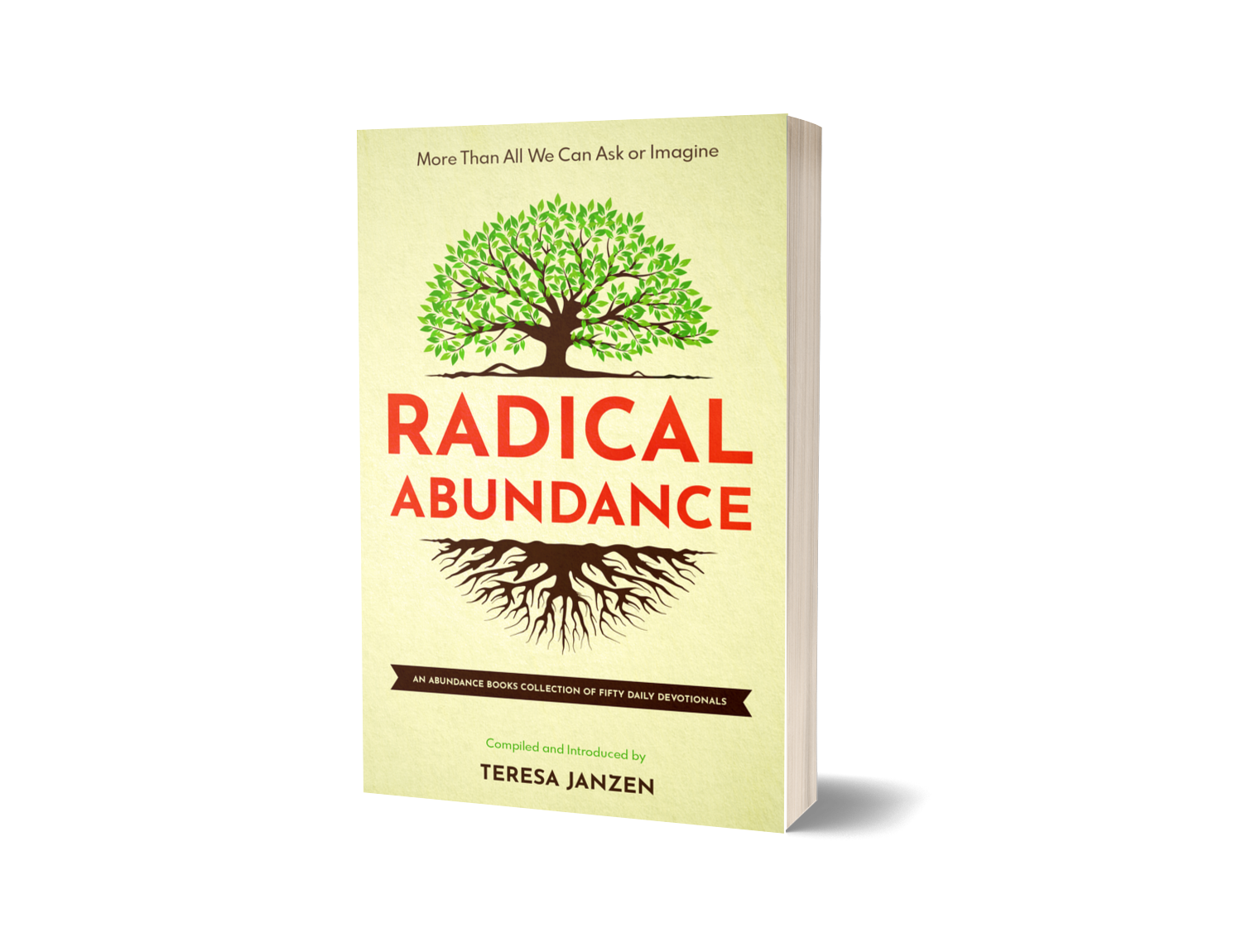Radical Abundance Devotional: More than all We can Ask or Imagine ...